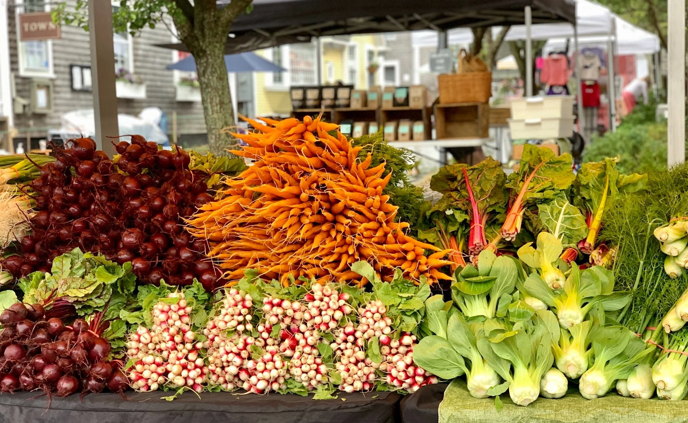 Sustainable Nantucket