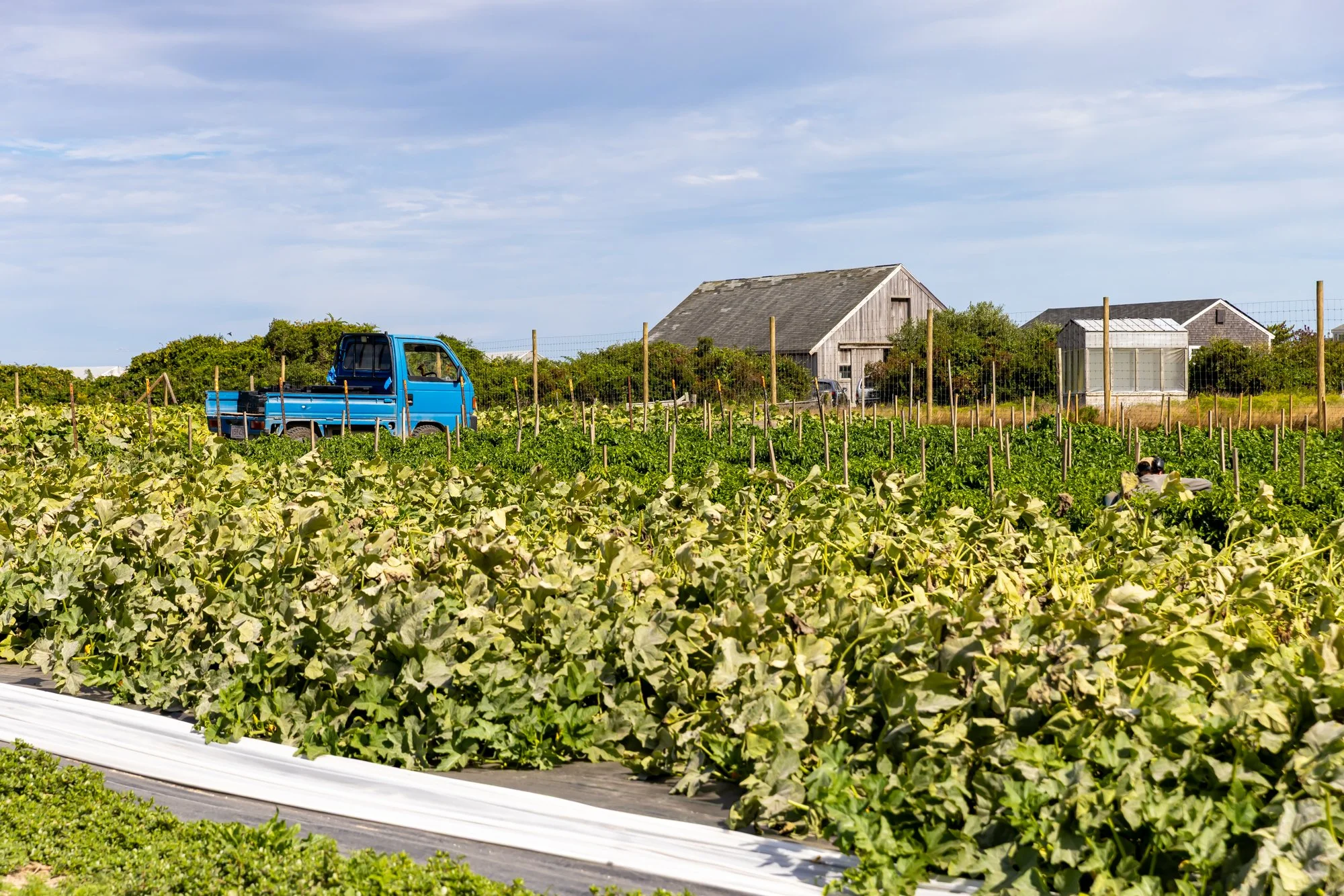 Sustainable Nantucket
