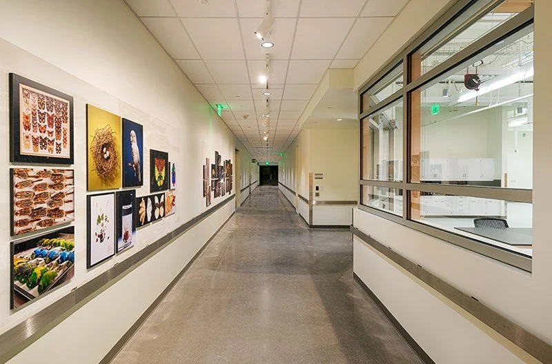 Hospitals to Hotels: The Versatility of Electric HVAC (2/4) — AMPED: Go ...