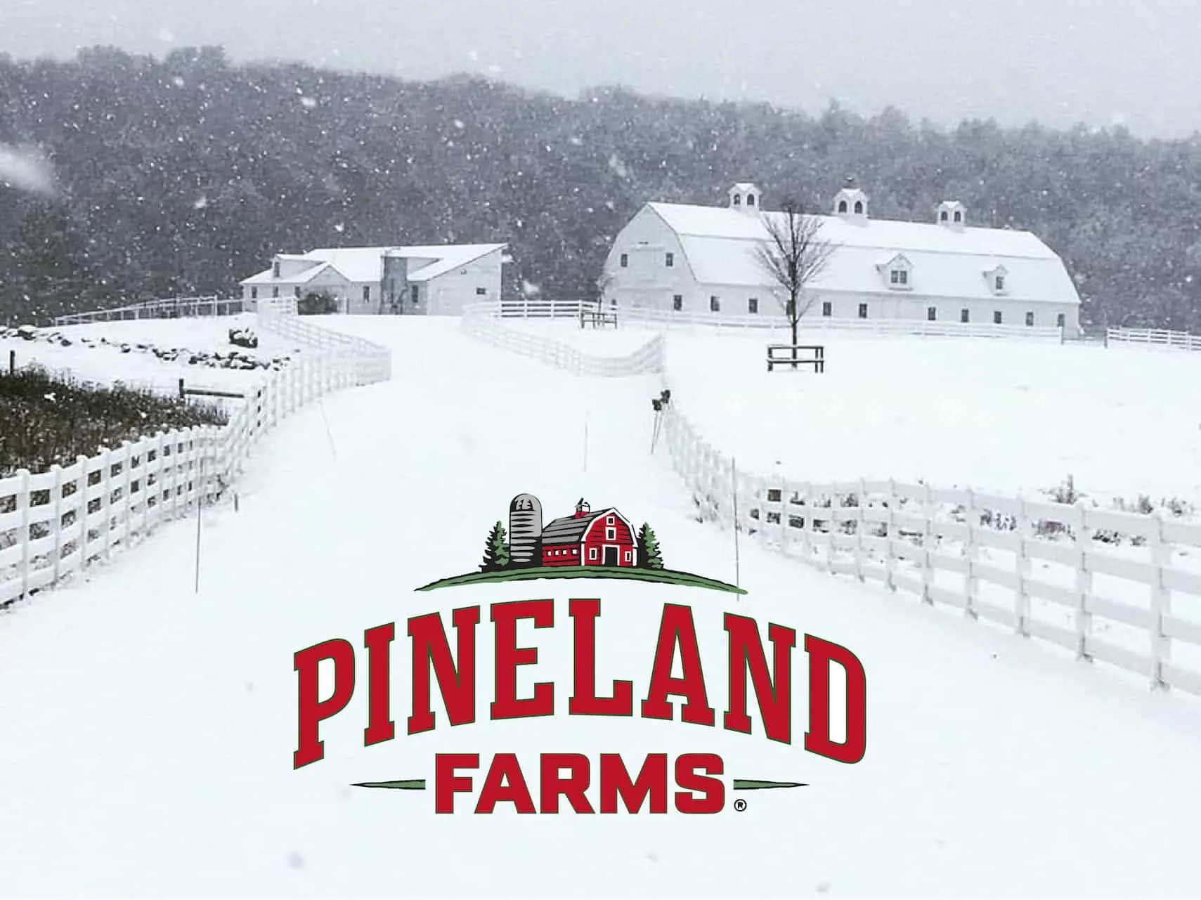 Youth Nordic Club Maine — Nonstop Nordic