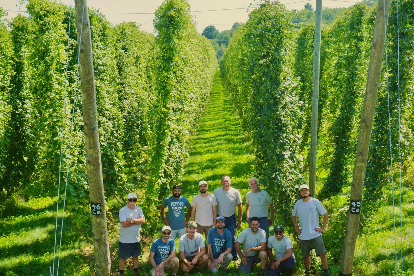 Champlain Valley Hops