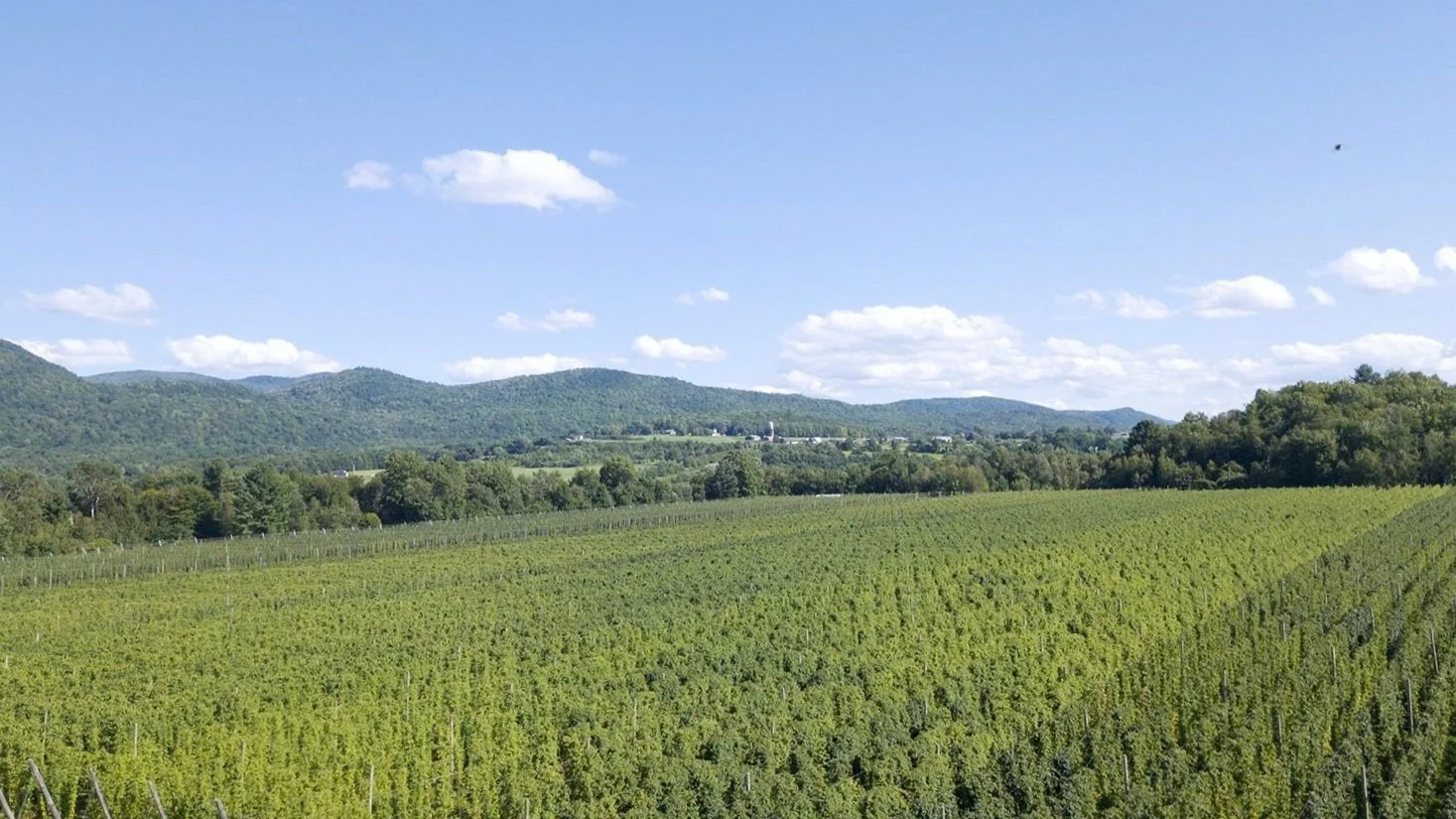 Why We Grow Here — Champlain Valley Hops