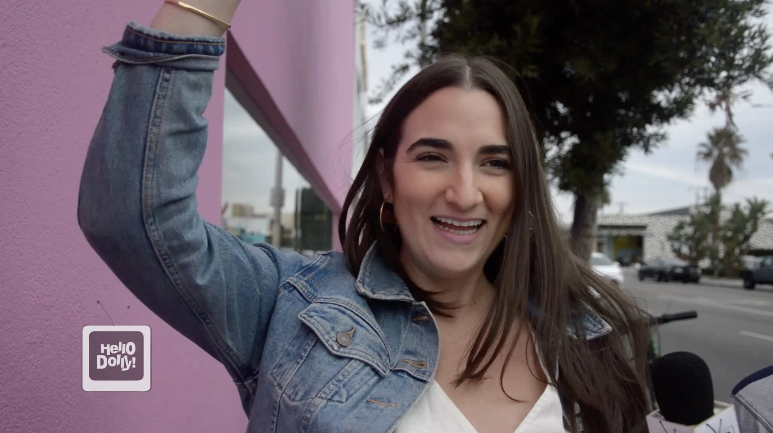 Hello Dolly — Dolly Meckler