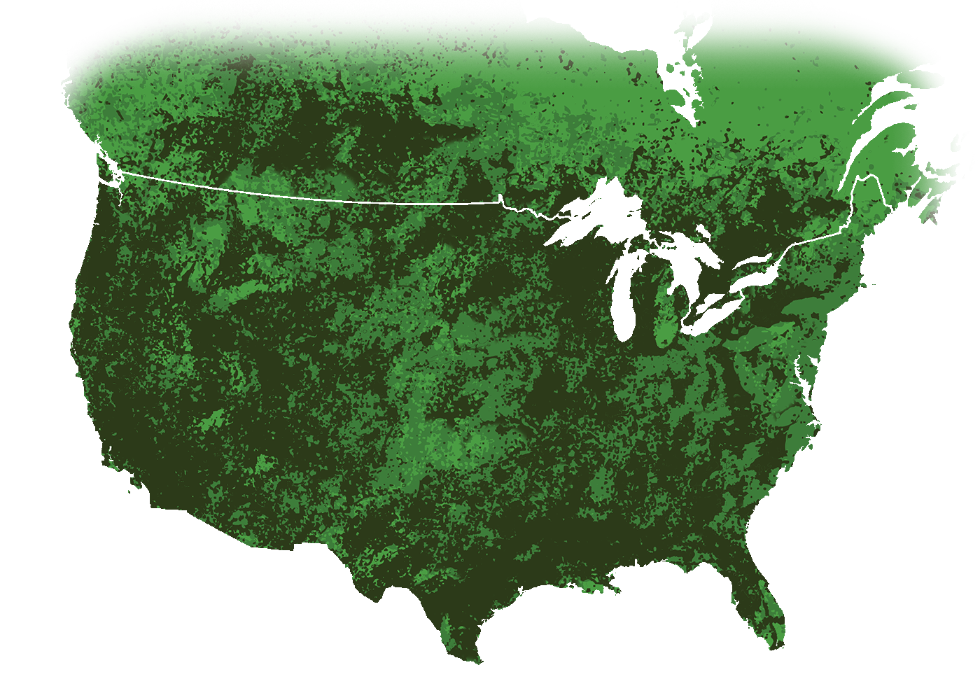 About — Apex Imaging Services