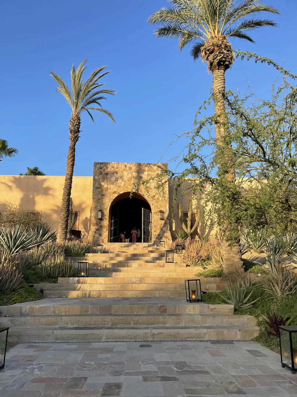 Cabo Guide: where to stay, where to eat, and what to do | Alex G ...