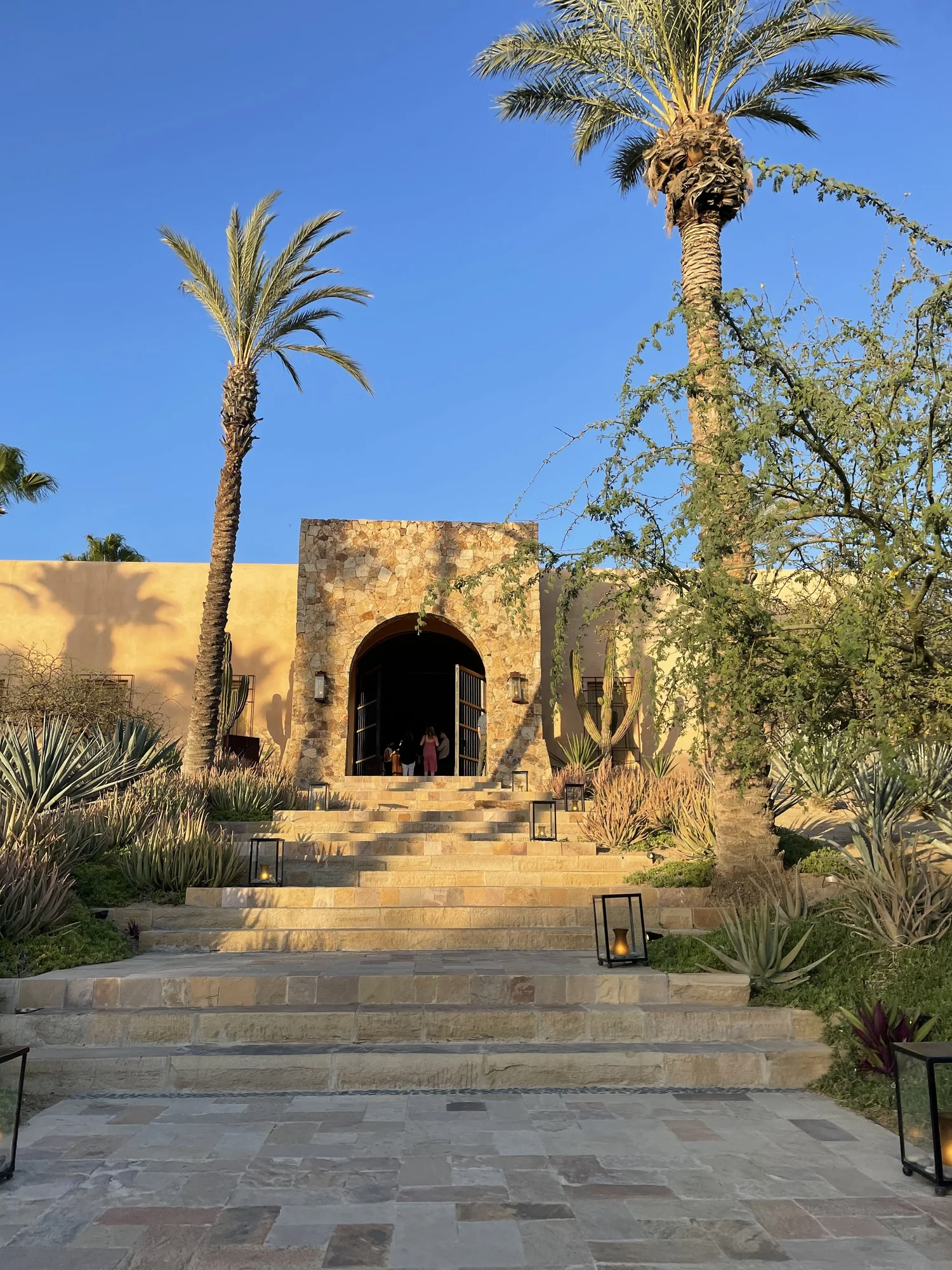 Cabo Guide: where to stay, where to eat, and what to do | Alex G ...