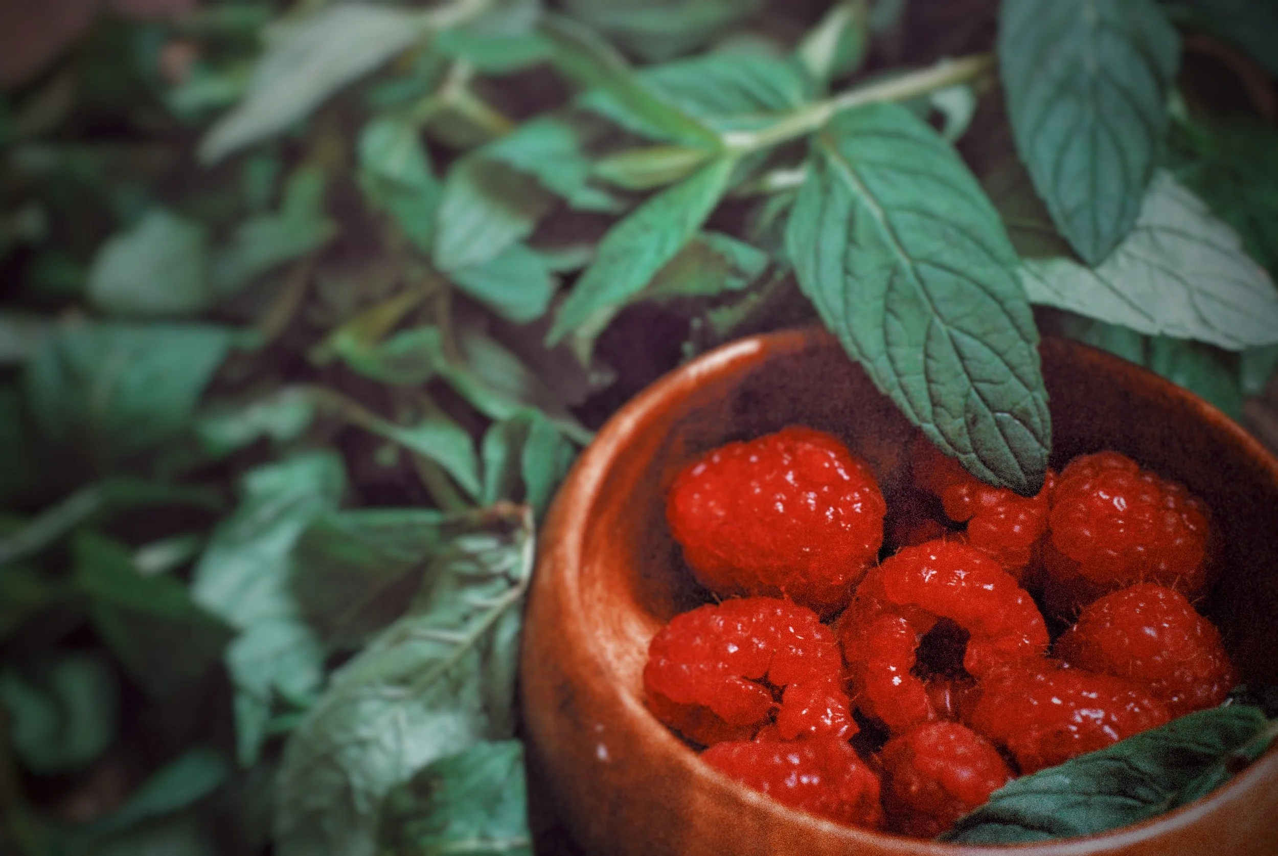 Products — Northwest Berry Coop