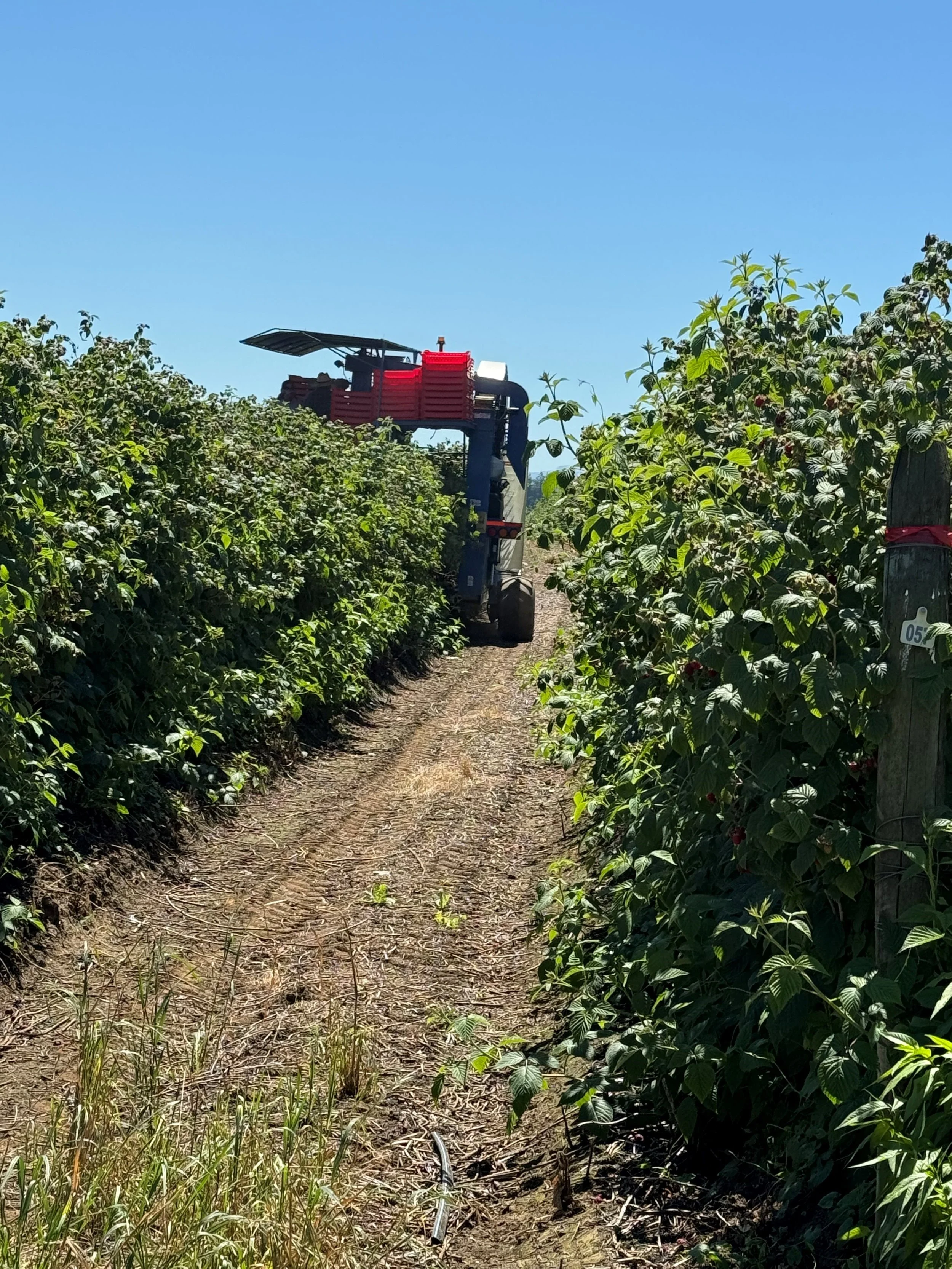 Northwest Berry Coop