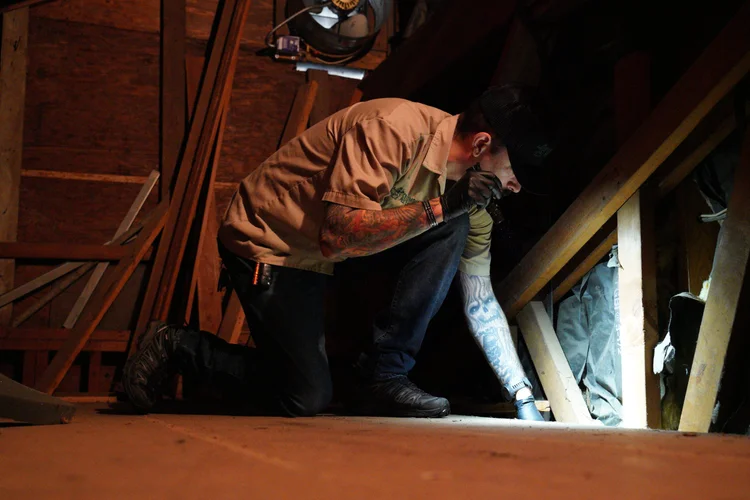 Local Pest Control in Portland, OR - Vancouver Pest Control - Ant ...