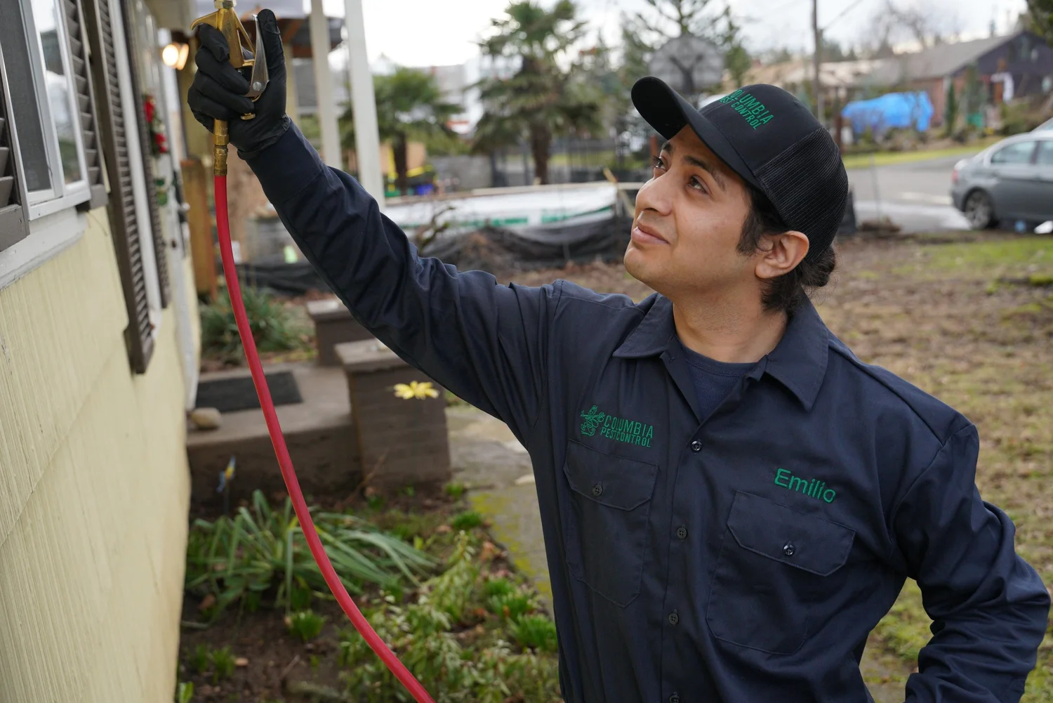 Local Pest Control in Portland, OR - Vancouver Pest Control - Ant ...