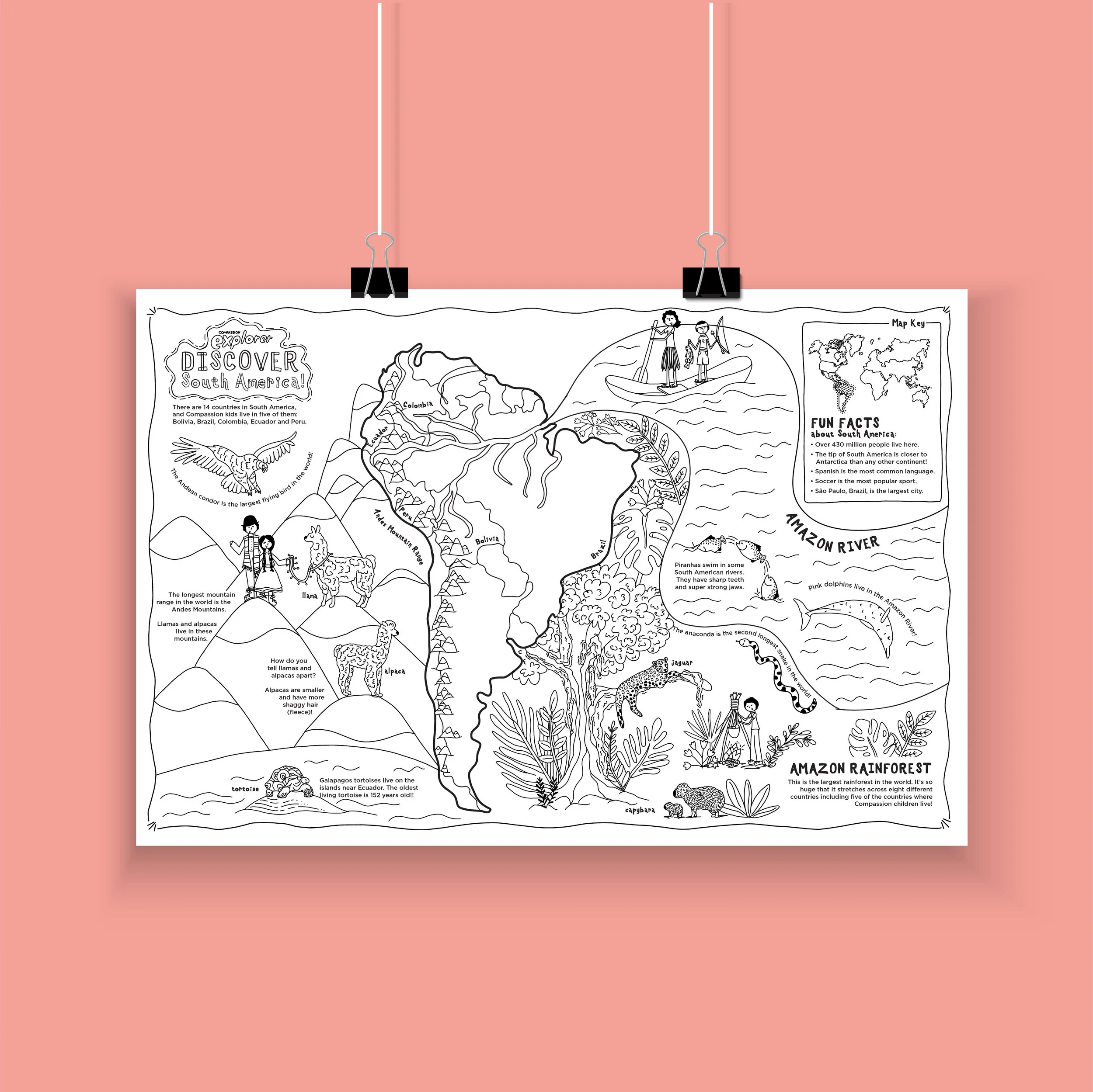 Illustration — Laura Emily Illustration