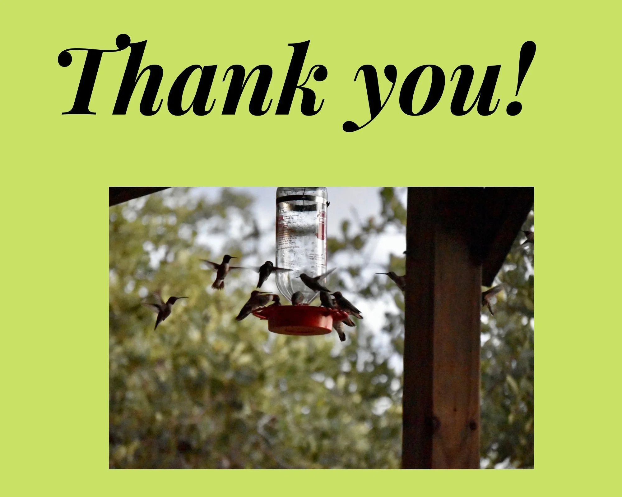 Digging Deeper capital campaign — UBarU Camp & Retreat center