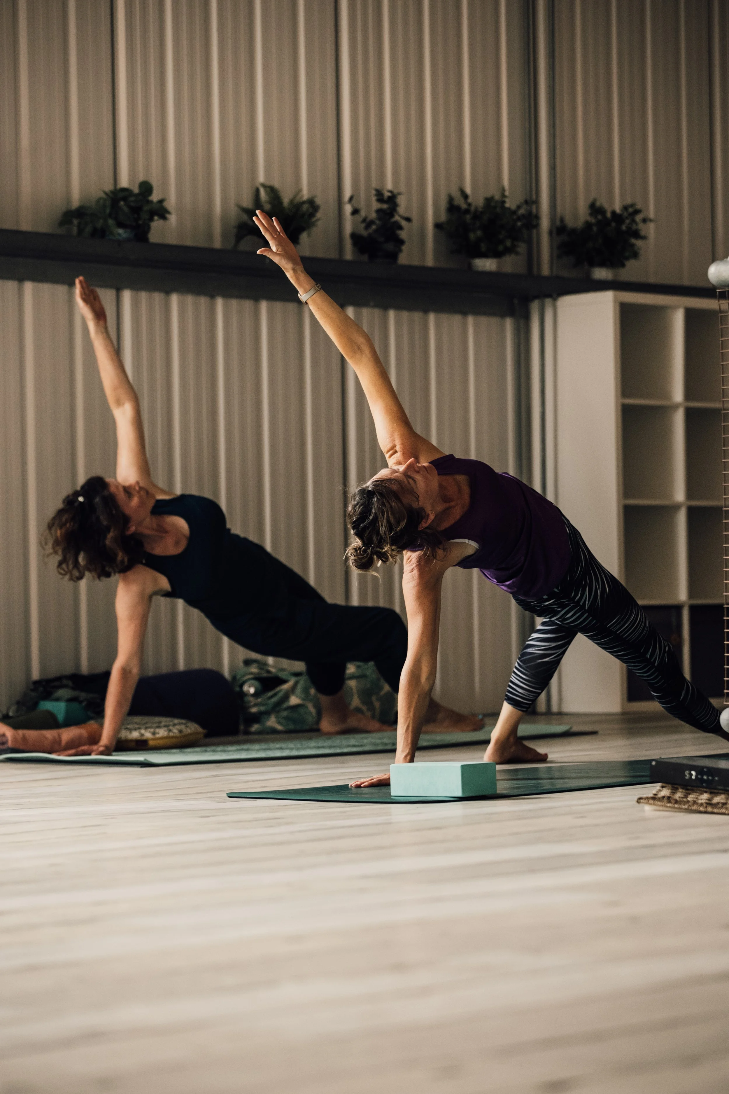 TYF Pricing & Membership — TYF