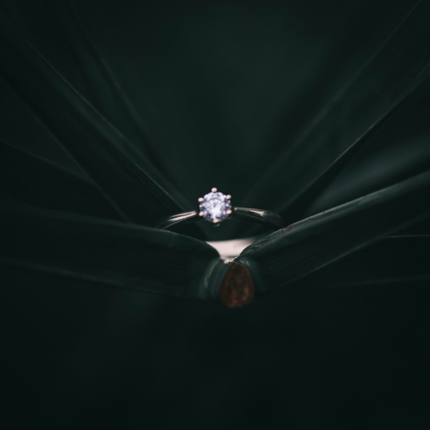The Basic Steps to Turn Ashes Into Diamonds - EverDear™ | EverDear ...