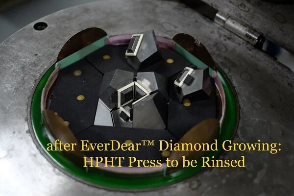 EverDear™ | Cremation Diamonds from Ashes and Hair - from $895!