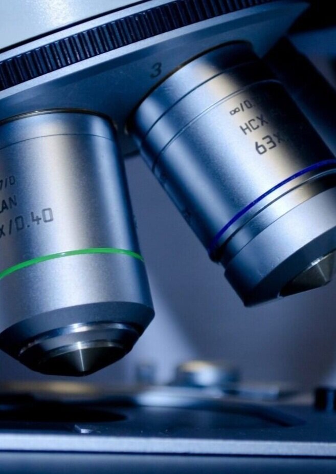 EverDear™ | Learn About Cremation Diamond Technology | EverDear ...