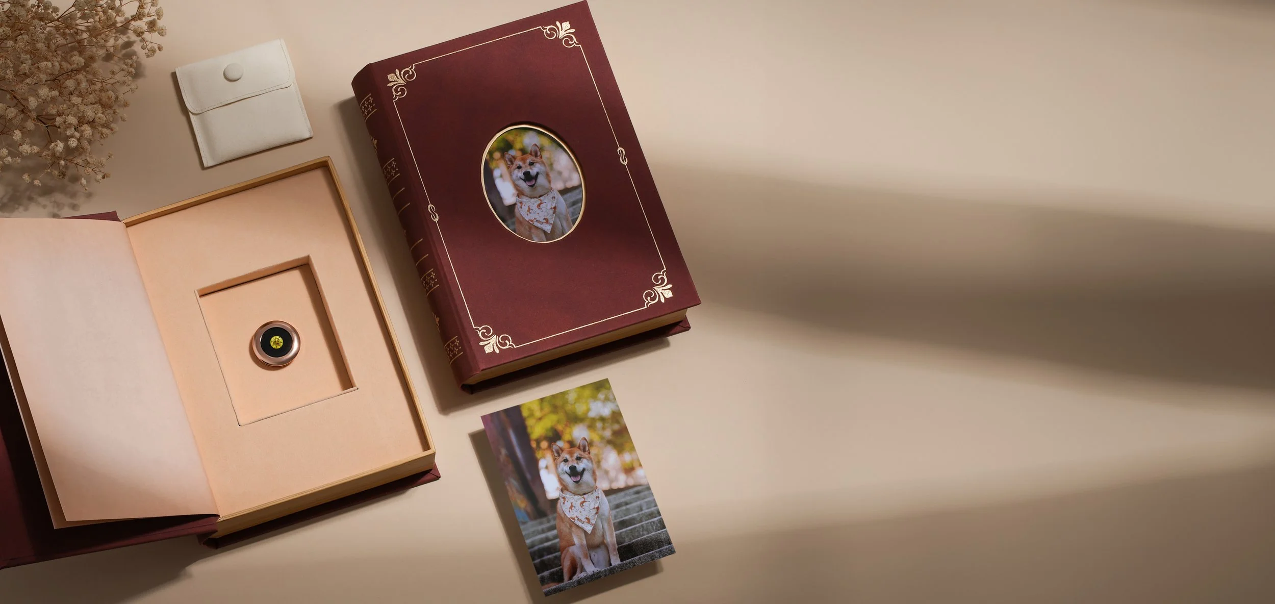 Turn Your Pet's Ashes into Cremation Diamonds | EverDear | Cremation ...