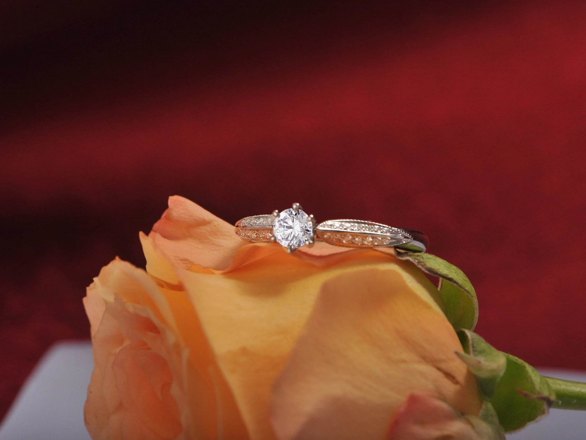 Cremation Diamond from Your Loved ones' Ashes or Hair | EverDear ...