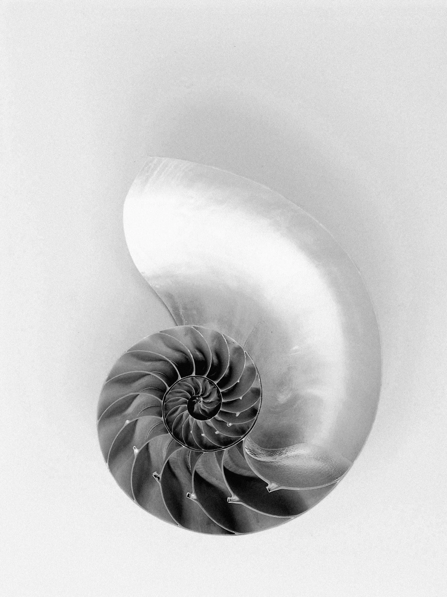 Wave Hello Studio