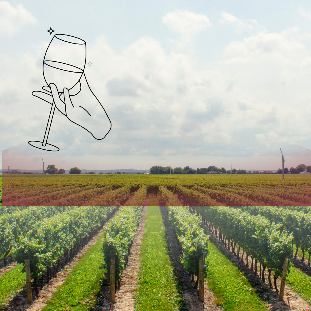 Blog 3 — Vintage Wine + Eats