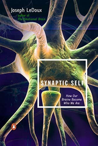 5 Best Neuroscience Textbooks — Learn With Abe 5 Best Neuroscience Textbooks — Learn With Abe