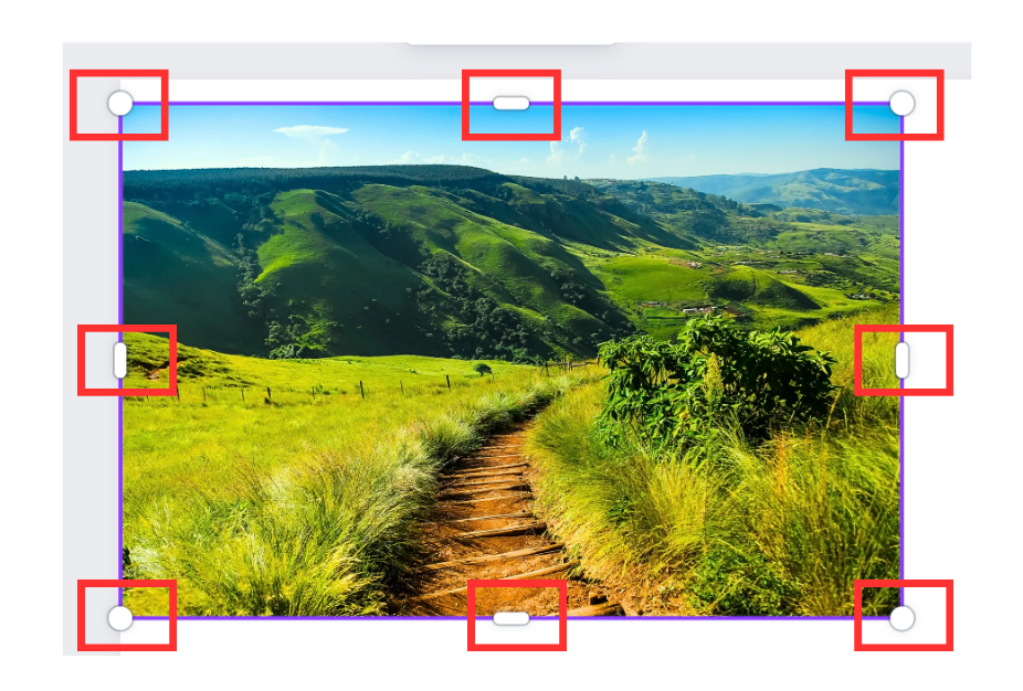 Better Content Creators — Simple Steps on How to Crop and Image and Photos in Canva | Content ...