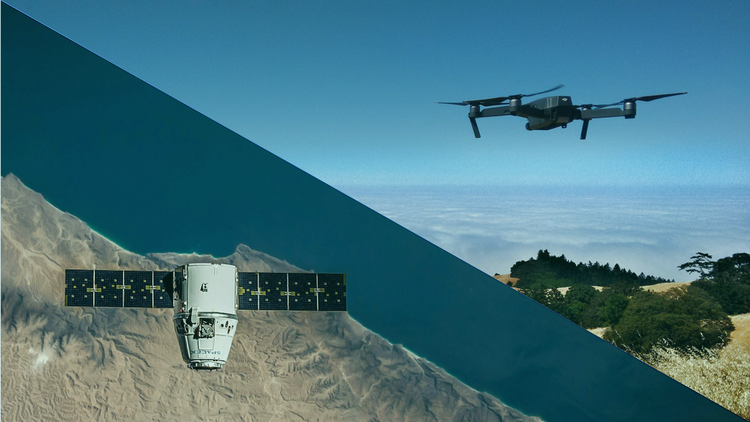 Choosing the Best Remote Sensing Tool for Vegetation Management