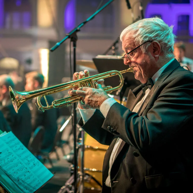 THE BAND — LP SWING ORCHESTRA