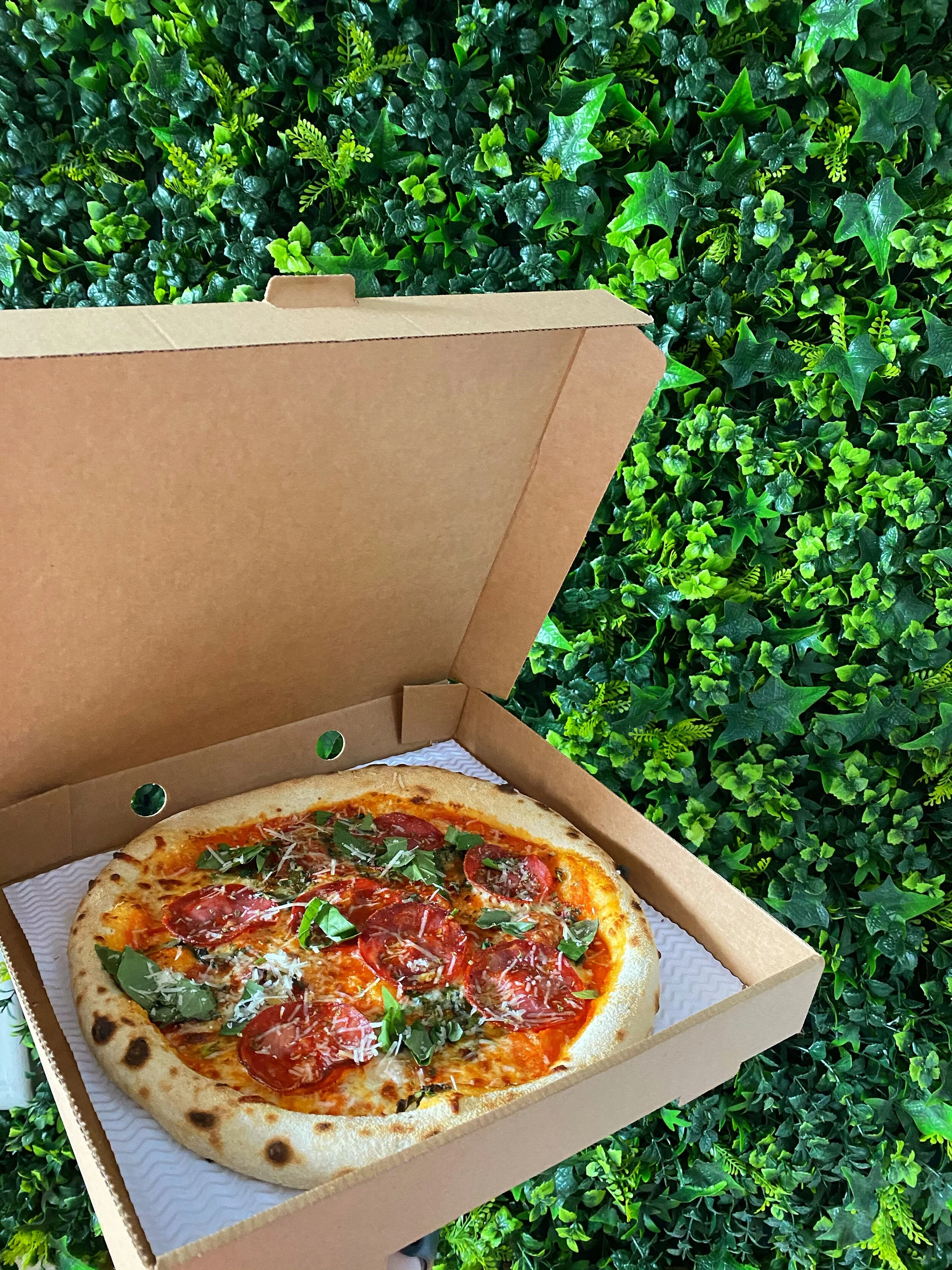 Gallery — The Giddy Goose Dundee