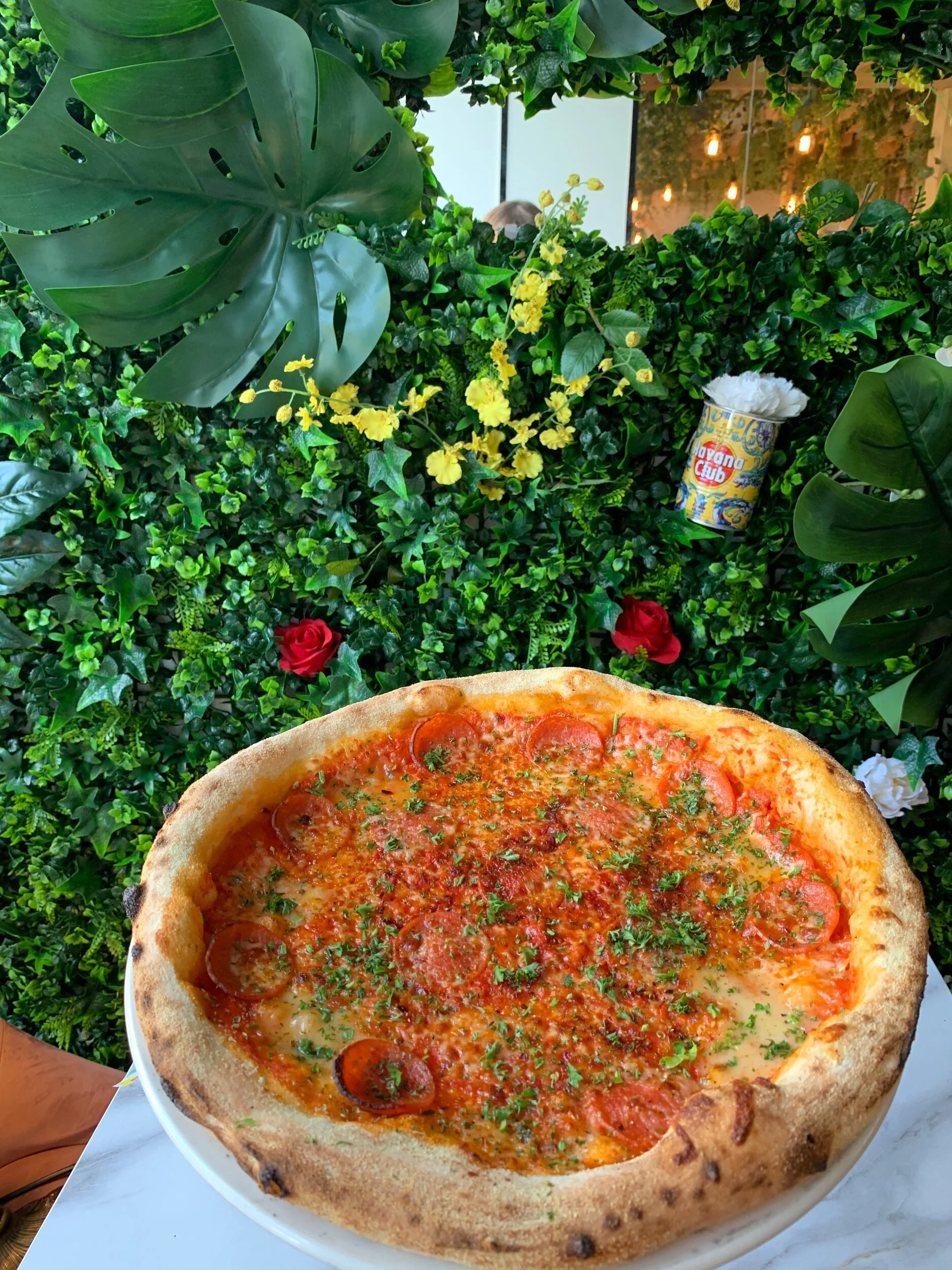 Gallery — The Giddy Goose Dundee