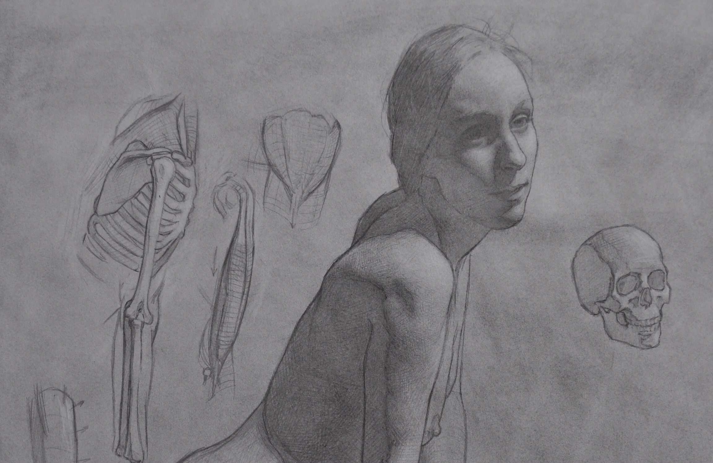 Online Classes — Scott Waddell Art