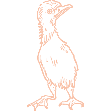 Brunch Menu — The Ugly Duckling