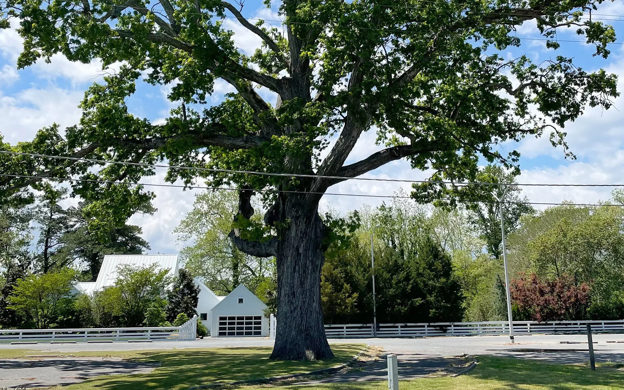 Hidden Gems — Onancock