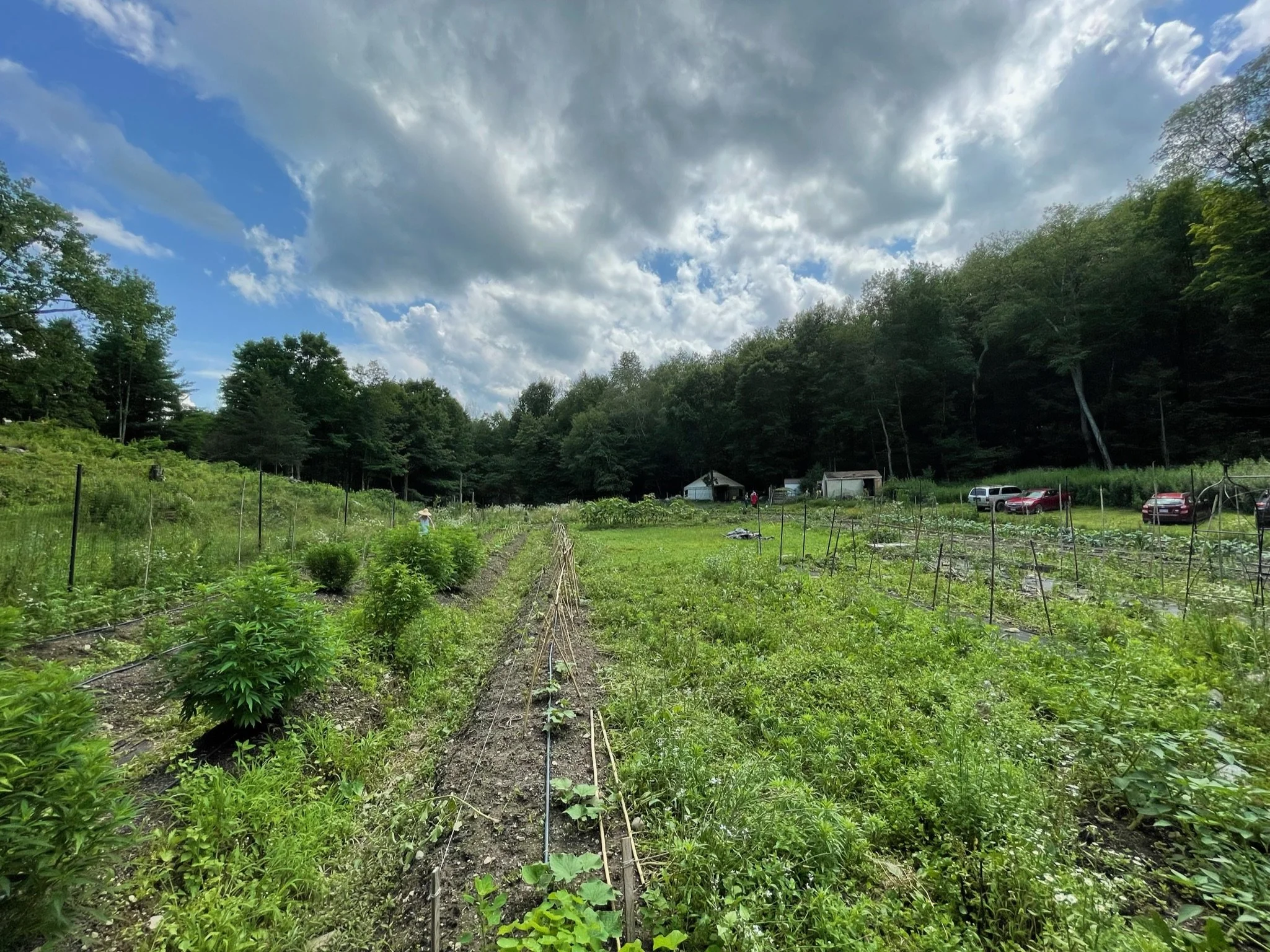 About — Mumbet's Freedom Farm