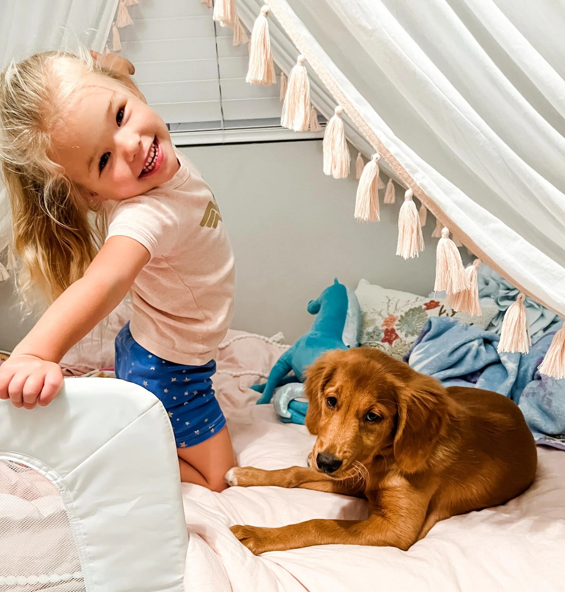 Doodle Puppies for Adoption in California| Doodle Breeders