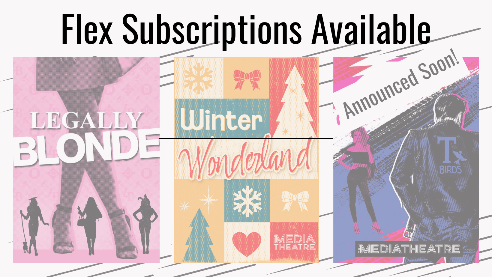 Subscriptions and Packages — The Media Theatre