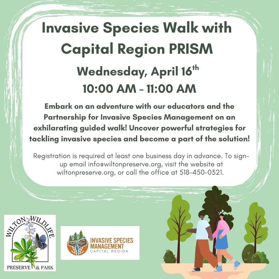 Invasive Species Walk with PRISM — Wilton Wildlife Preserve & Park