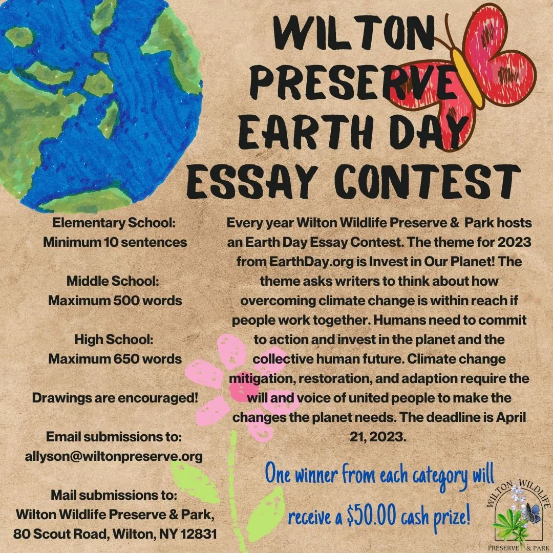 Accepting Submissions for the Annual Earth Day Essay Contest! — Wilton ...