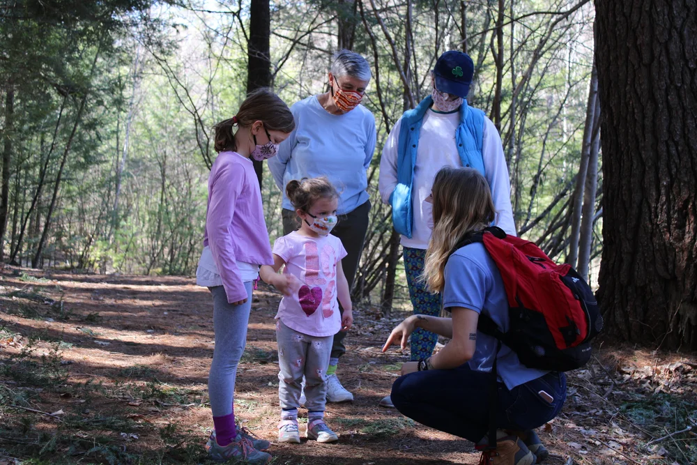 Registration for Public Programs