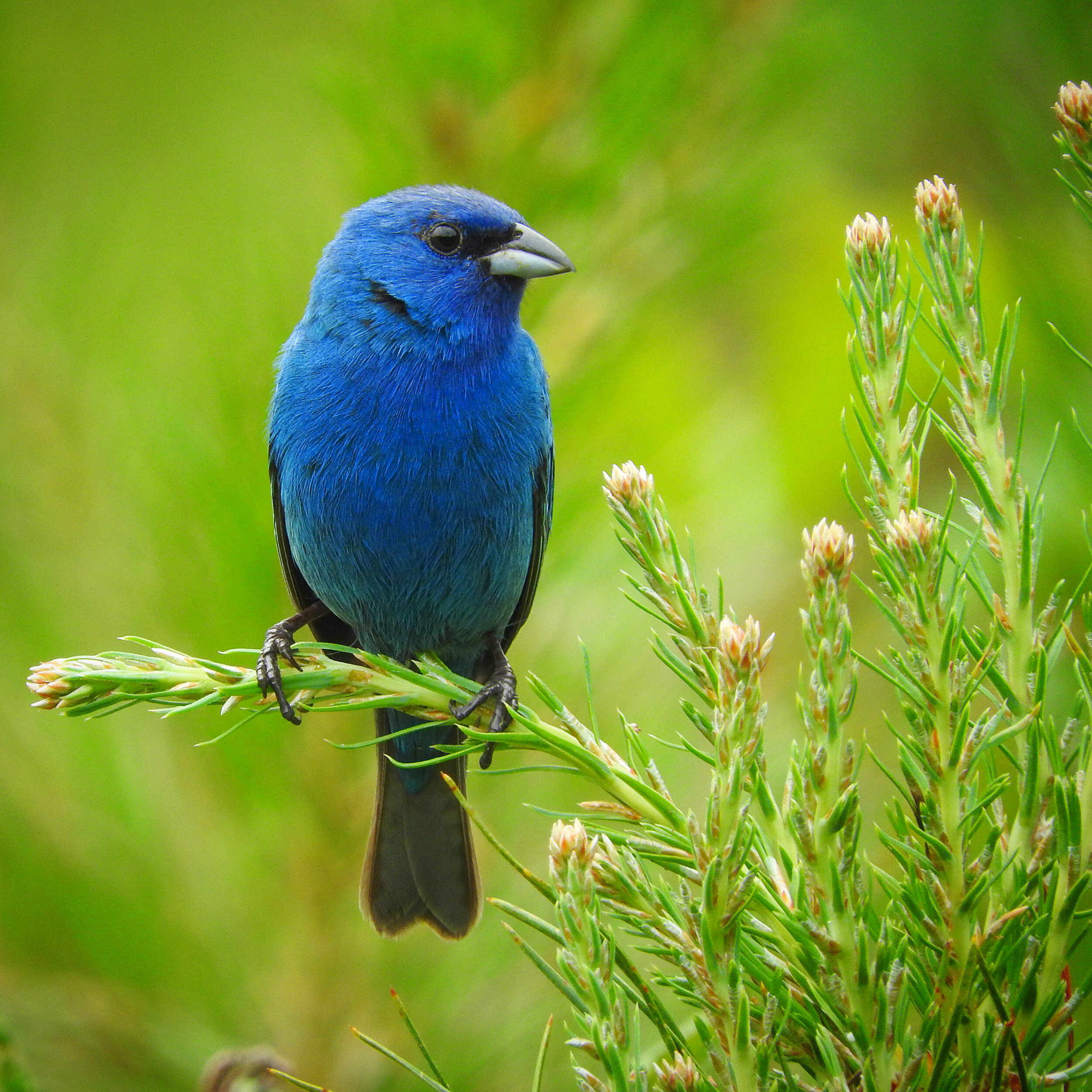 Annual Photography Show