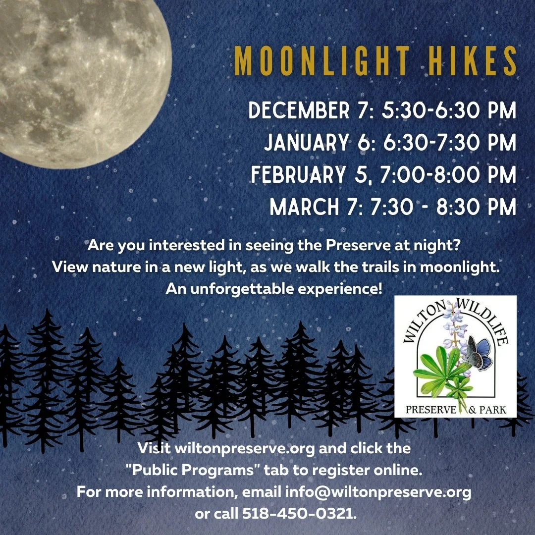 Worm Moon Full Moon Hike — Wilton Wildlife Preserve & Park