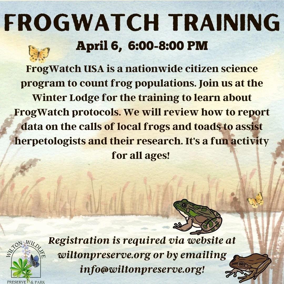 FrogWatch Training — Wilton Wildlife Preserve & Park