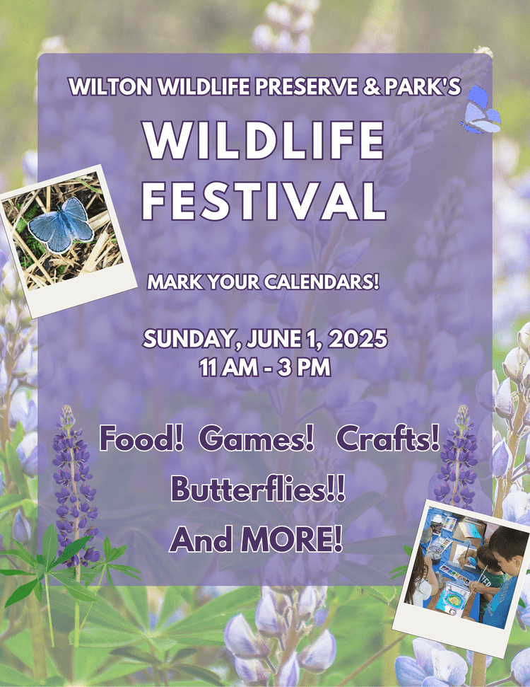 Wildlife Festival