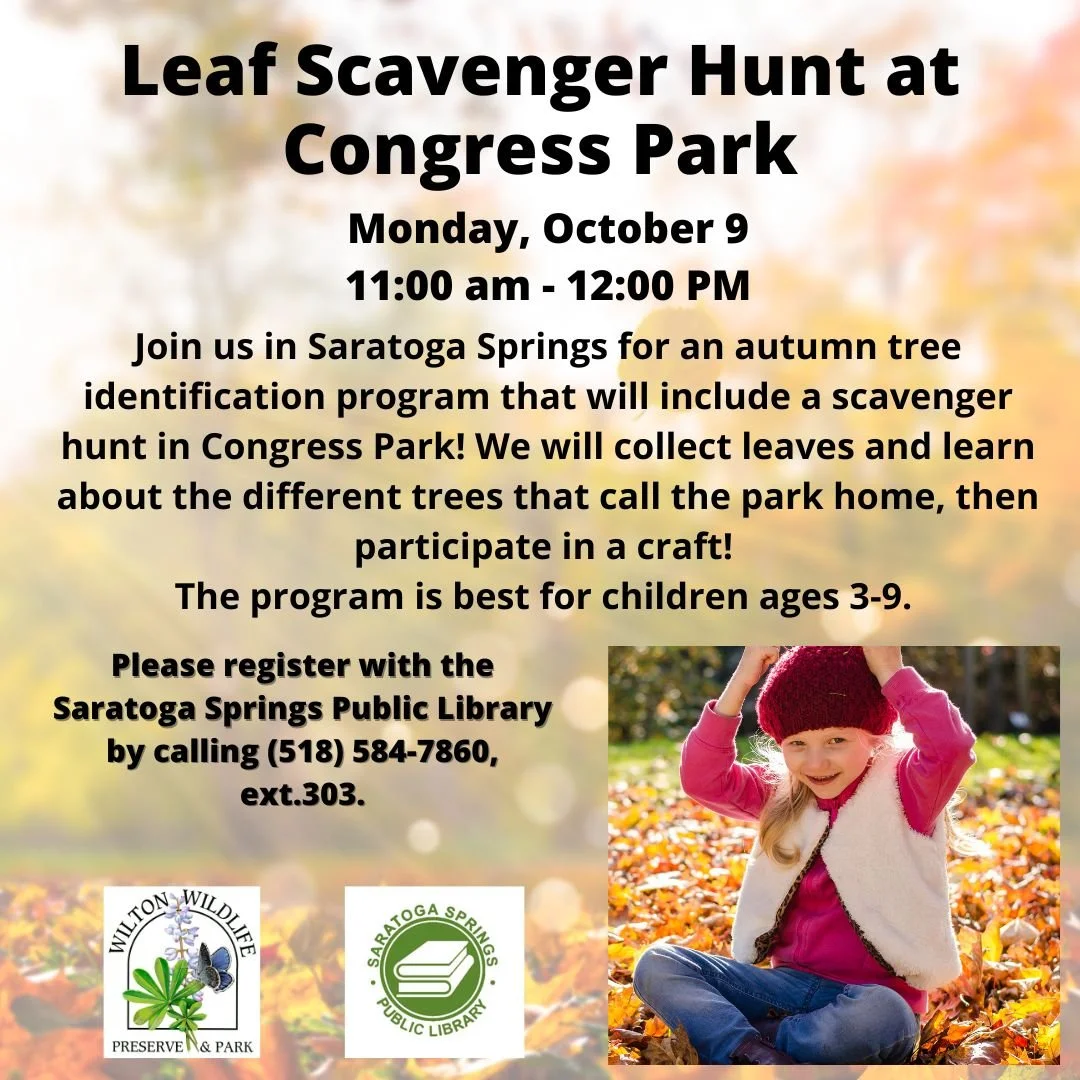 Leaf Scavenger Hunt at Congress Park — Wilton Wildlife Preserve & Park