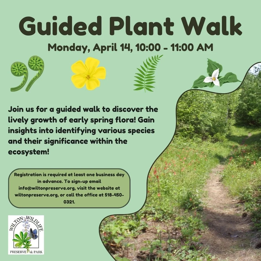 Guided Plant Identification Walk — Wilton Wildlife Preserve & Park