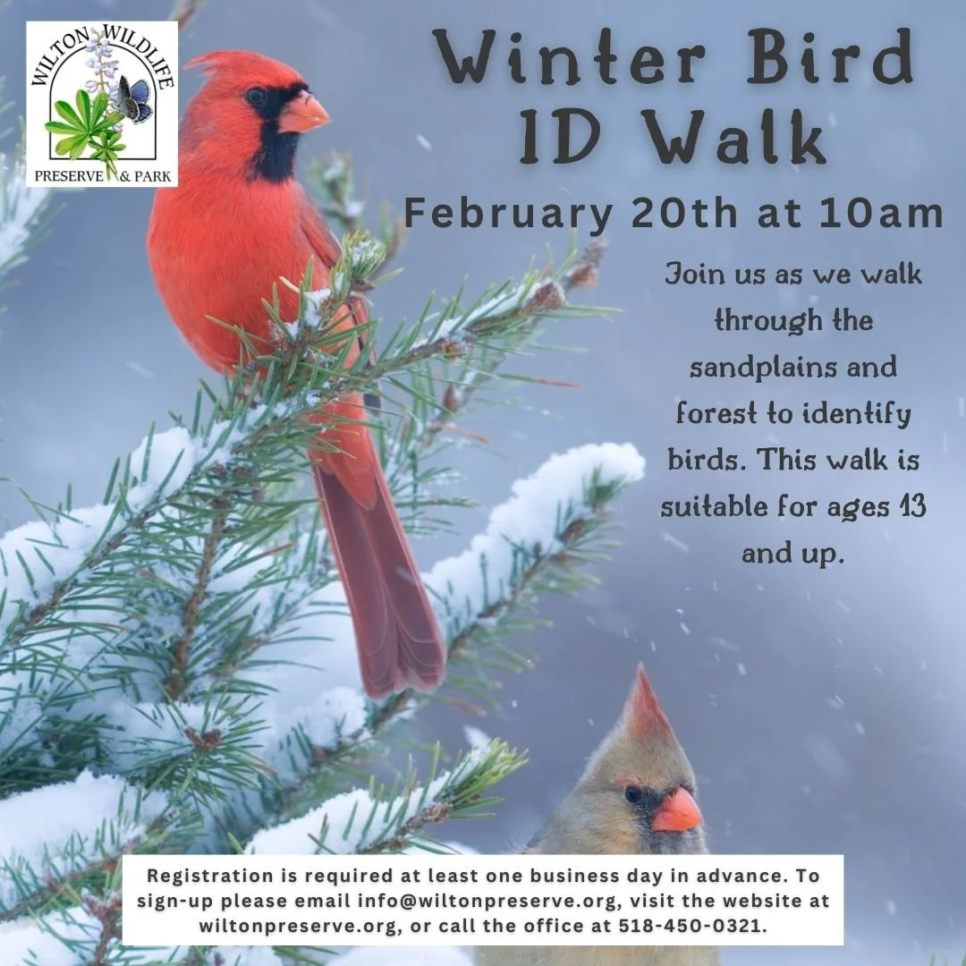 Winter Bird Identification Walk — Wilton Wildlife Preserve & Park