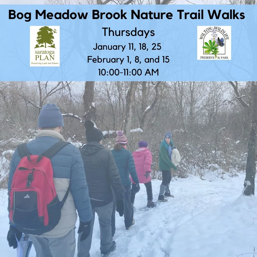 Bog Meadow Brook Nature Trail Walk — Wilton Wildlife Preserve & Park