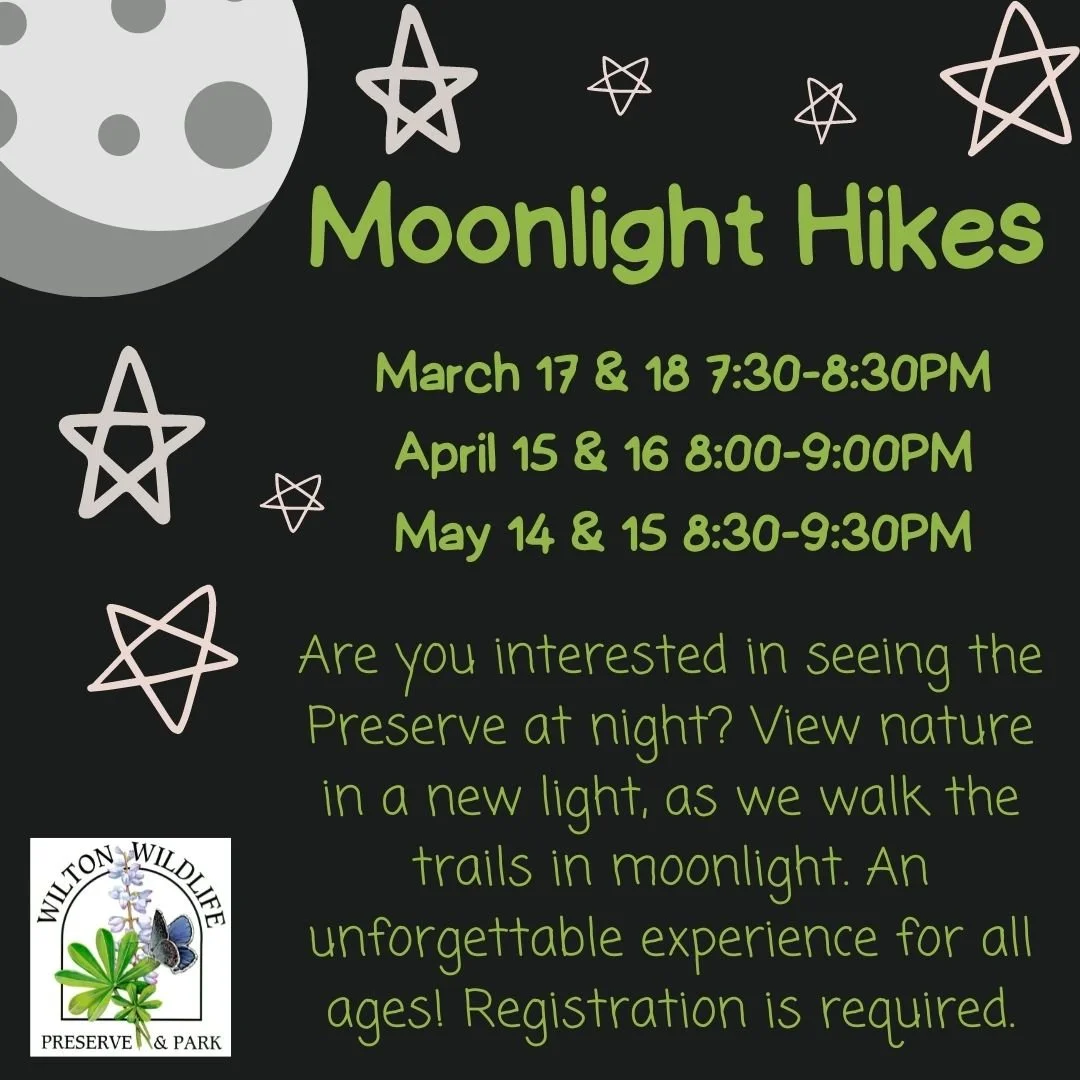 Moonlight Hike — Wilton Wildlife Preserve & Park
