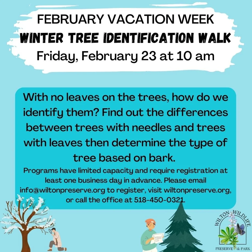 Winter Tree Identification — Wilton Wildlife Preserve & Park