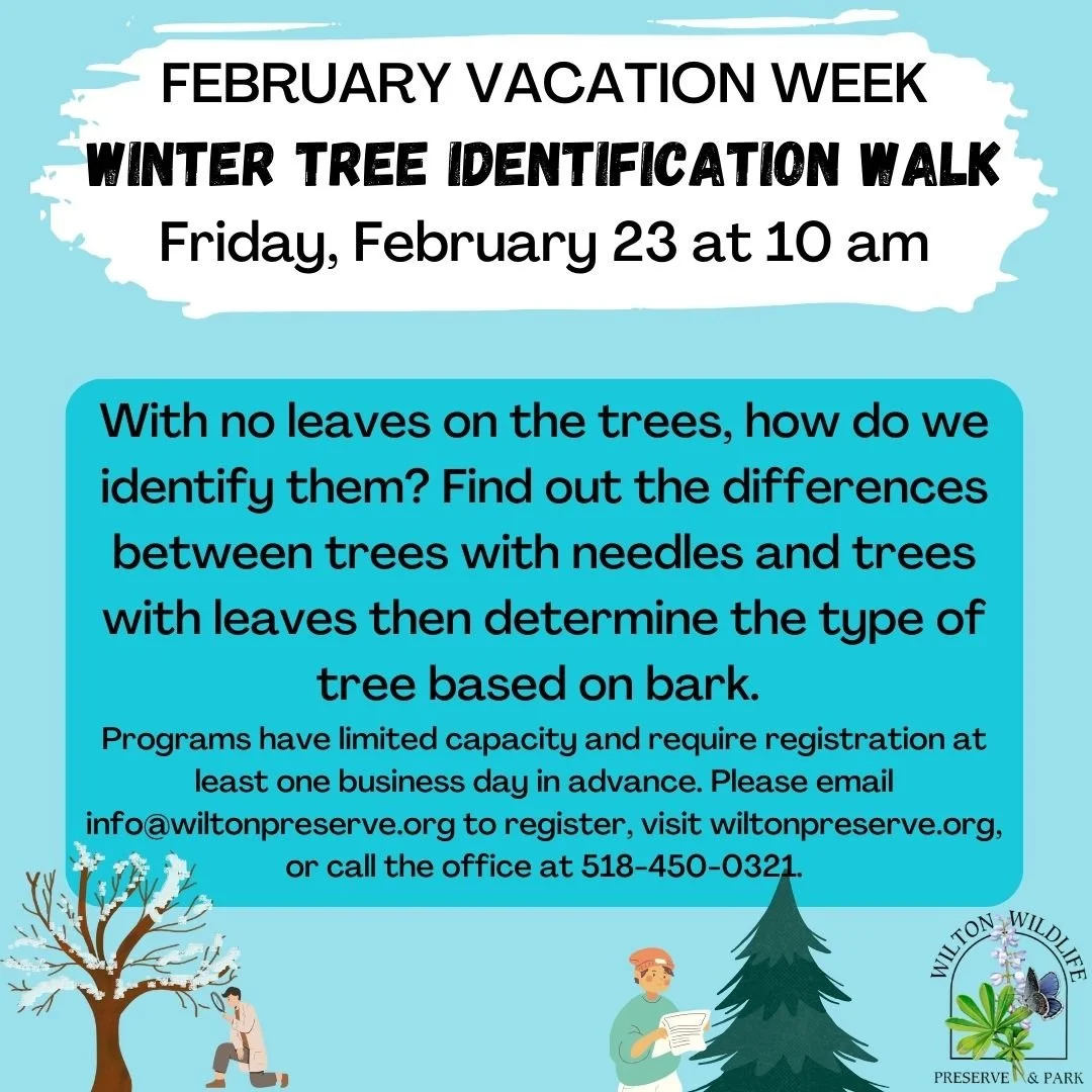 Winter Tree Identification — Wilton Wildlife Preserve & Park